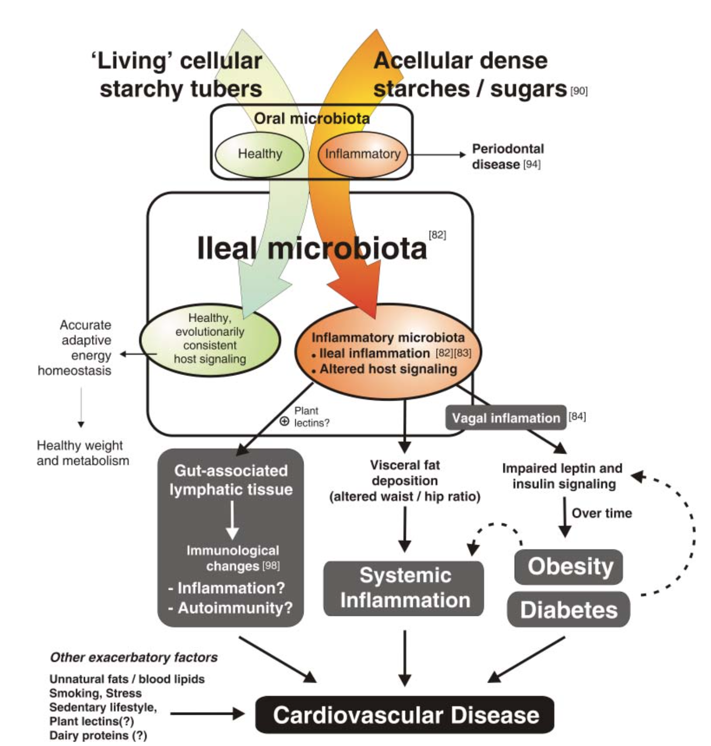 Ian Spreadbury- Gut Bacteria, Ancestral Carbohydrates VS Acellular Carbs