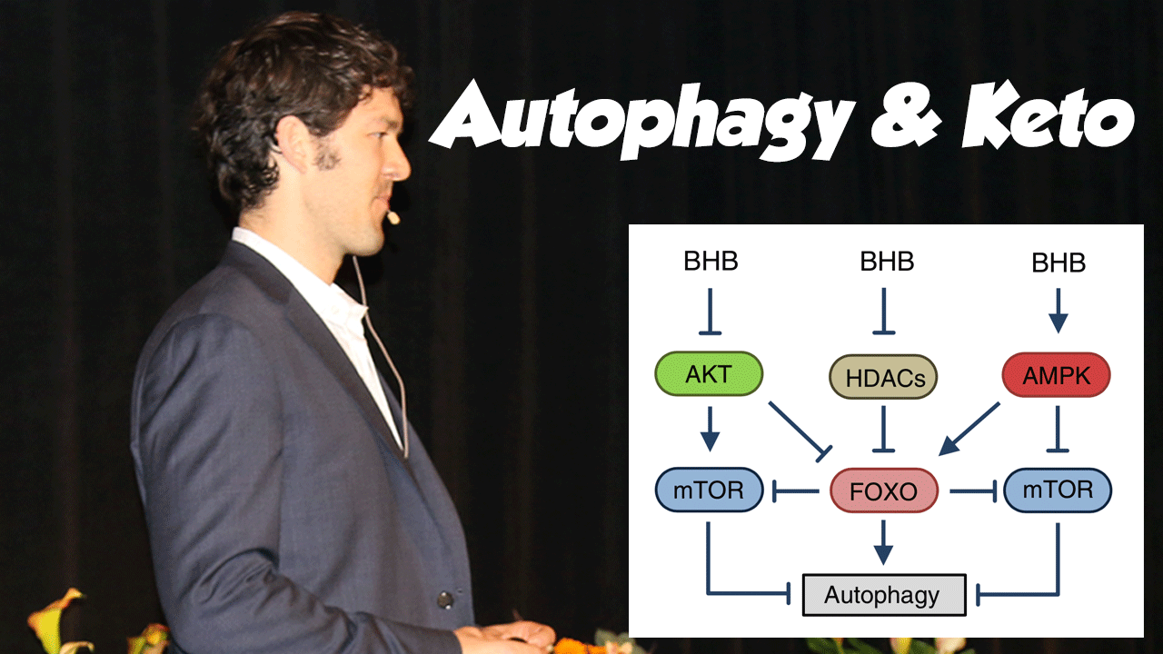 Autophagy, Fasting and the Ketogenic Diet: Science and Updates - High ...