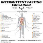 Jason Fung, MD- The Complete Guide to Fasting for Fat Loss