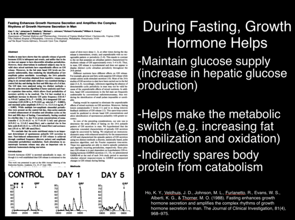 Fasting, Human Growth Hormone and Your Thyroid