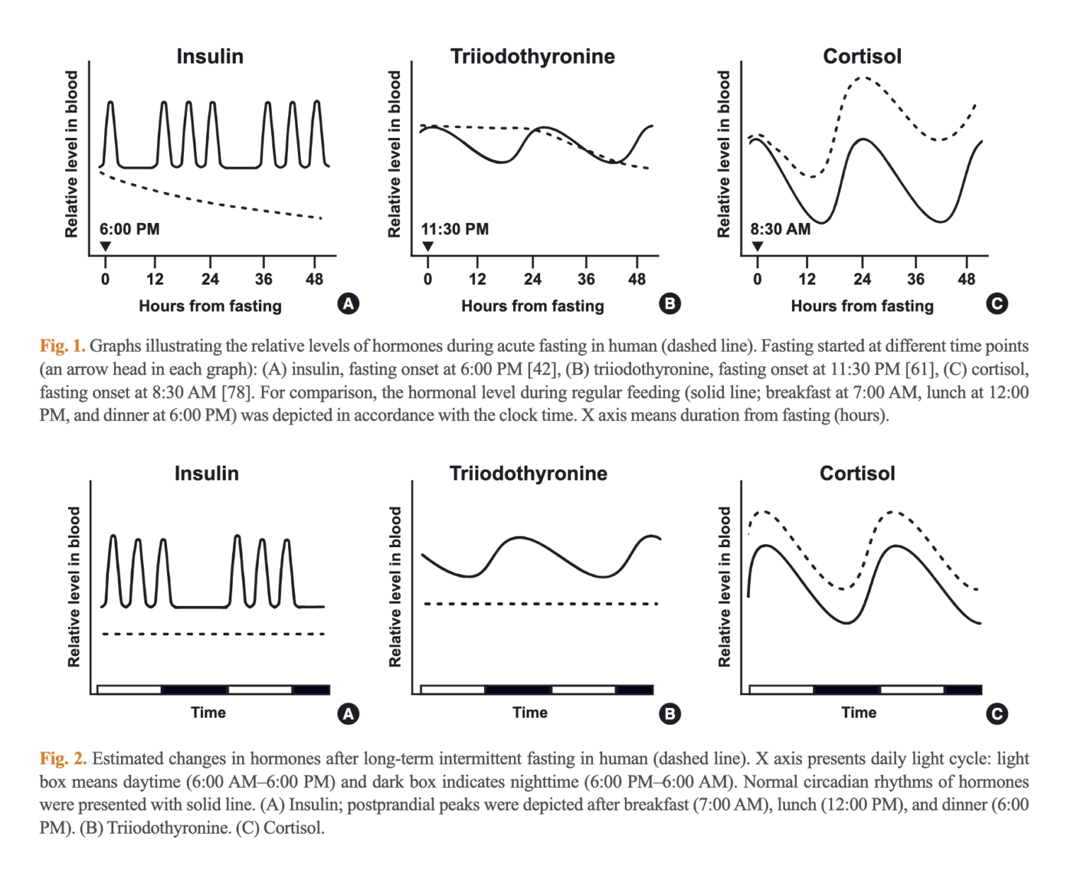 How Intermittent Fasting Impacts Insulin, Your Thyroid and Cortisol ...